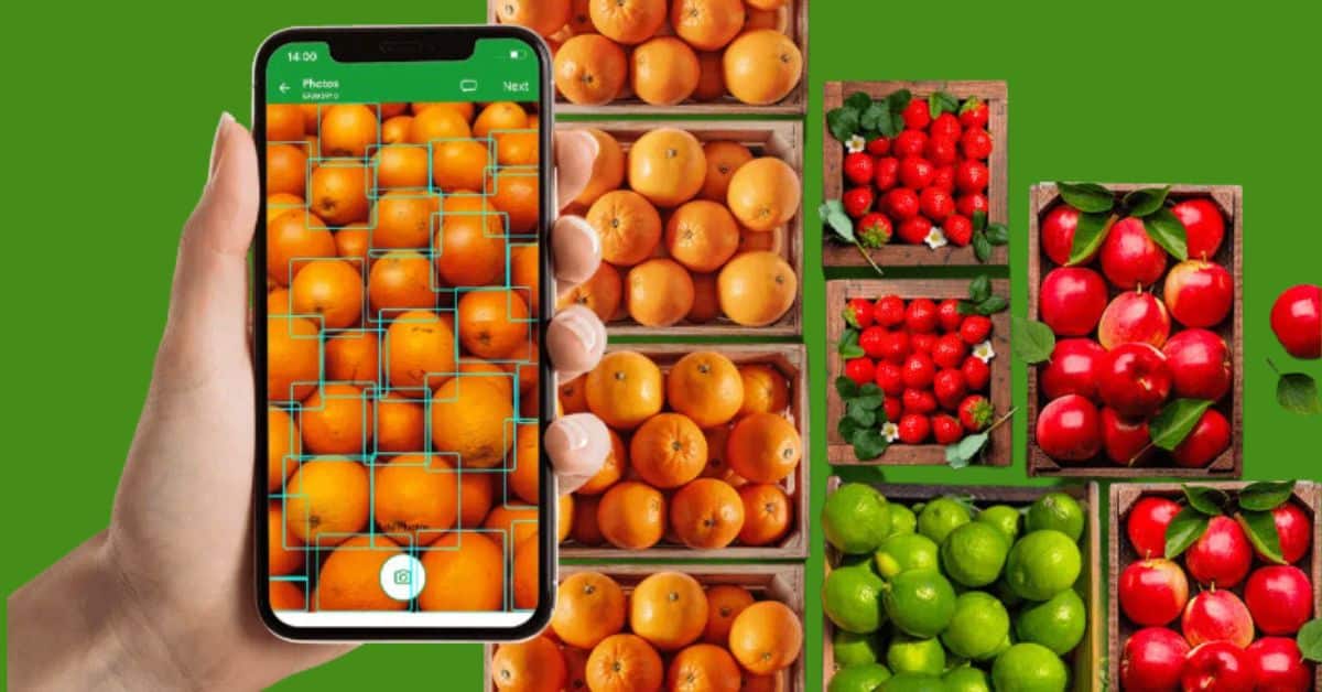 Fresh Produce Digital Solutions for Data-Driven Insight - Clarifresh