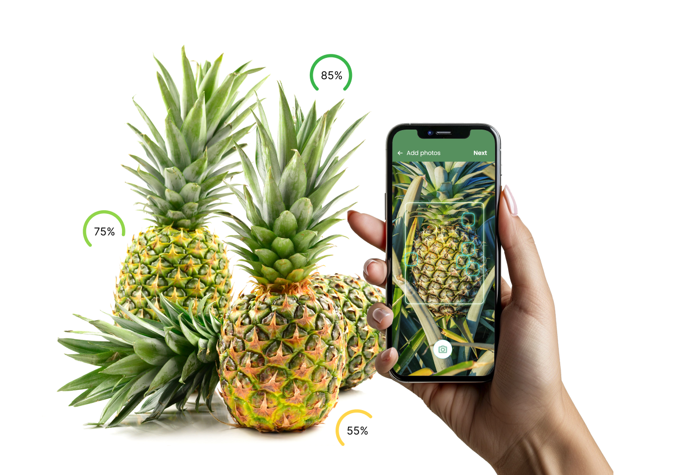 Clarifruit Rebrands to Clarifresh: A Fresh New Chapter